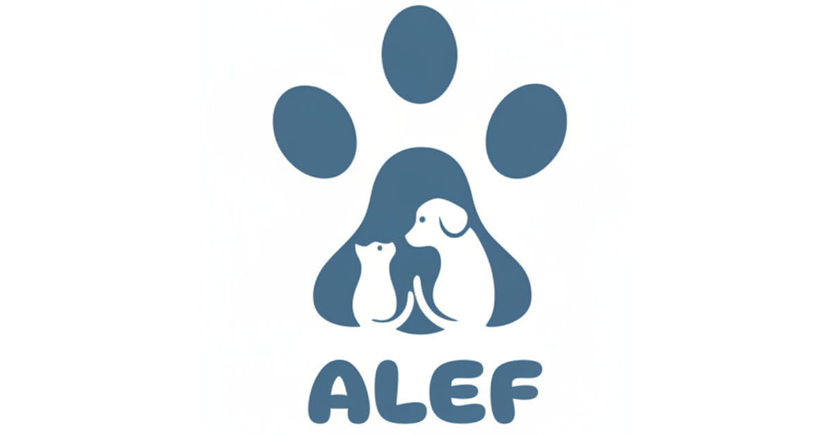 Shop Pet Products Online - Pawvera Ltd | Pet Accessories & Care – ALEF